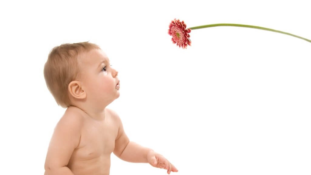 are-flowers-bad-for-babies-little-blooms-baby-gifts-uk